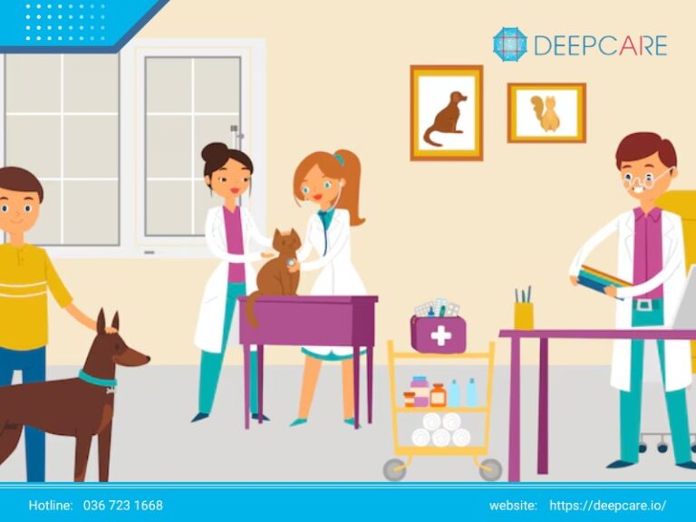 Giải đáp mở phòng khám thú y cần bằng cấp gì? - DEEPCARE